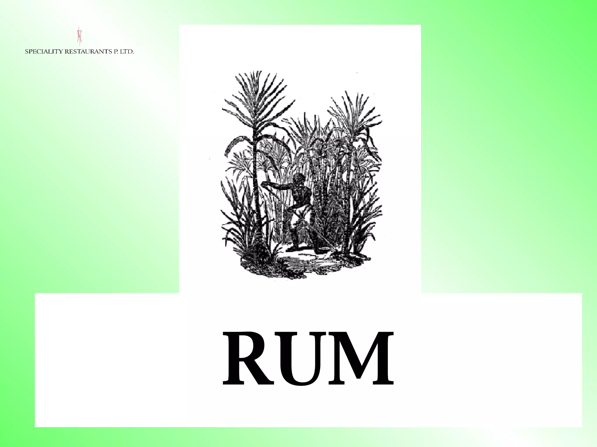 Rum | PPT