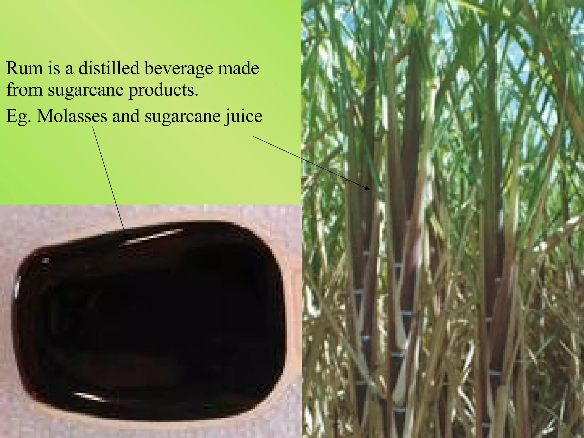 Rum | PPT