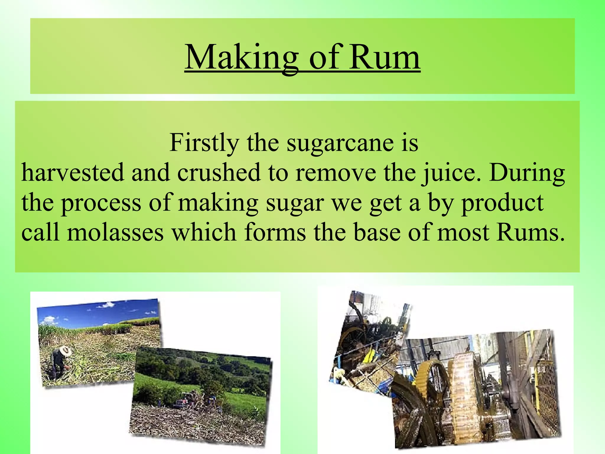 Rum | PPT