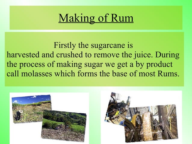 Rum | PPT