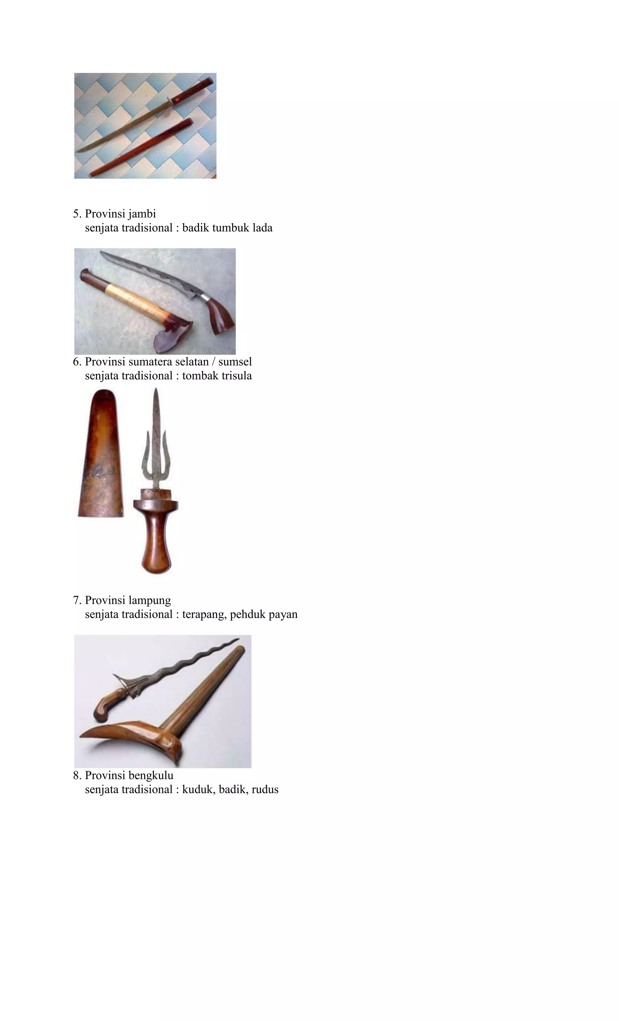 Rumah adat di indonesia | DOCX