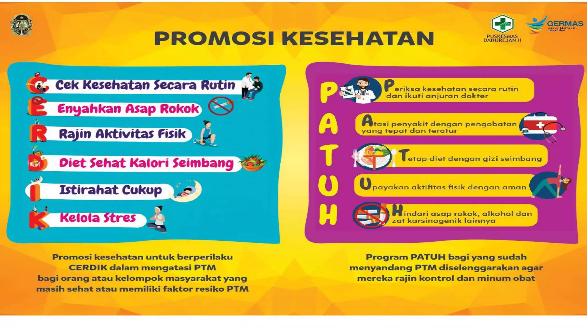 Rumah Desa Sehat Pulau Patai.pptx