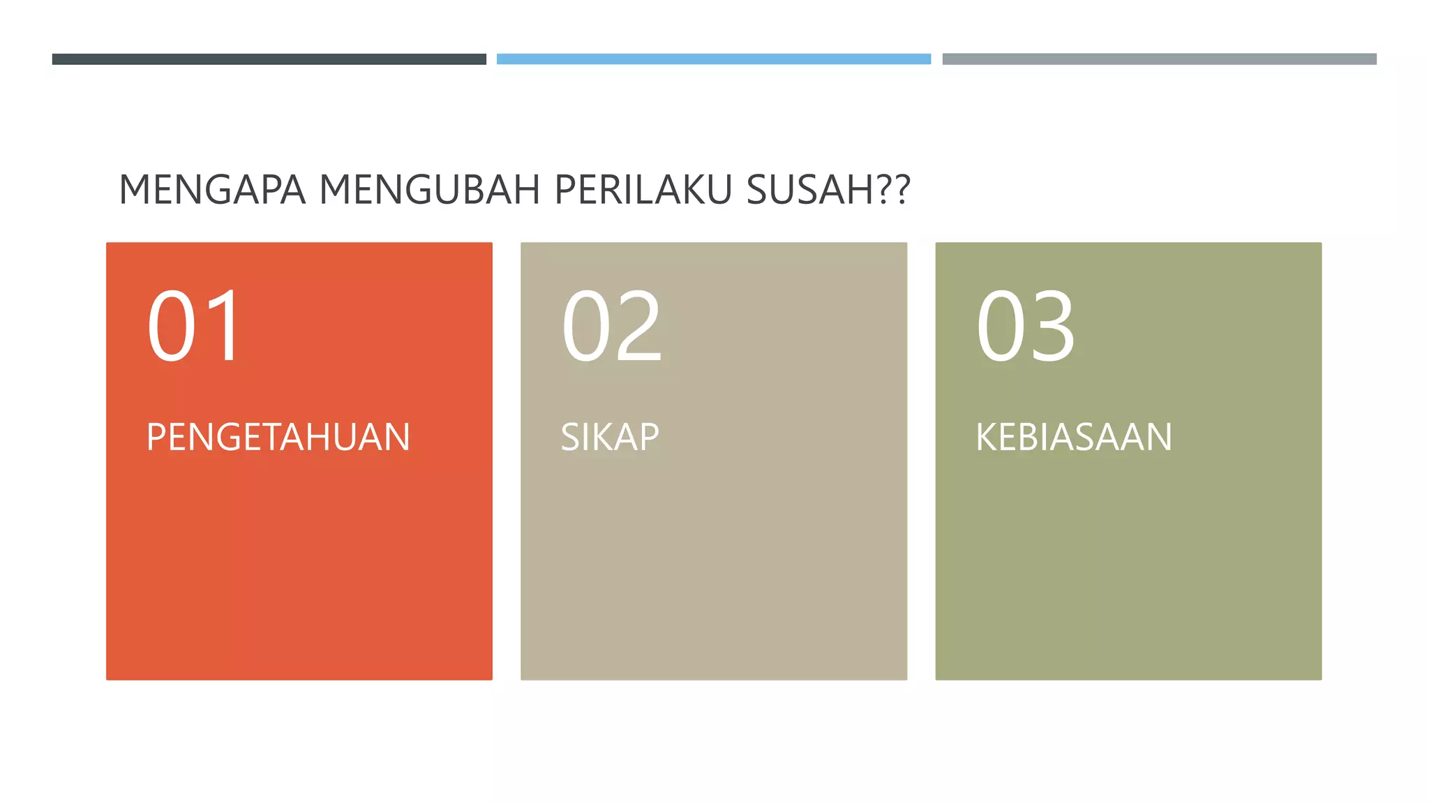 Rumah Desa Sehat Pulau Patai.pptx