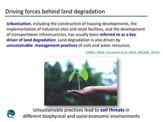 Land degradation in strategic spatial plans: What is there and what is ...
