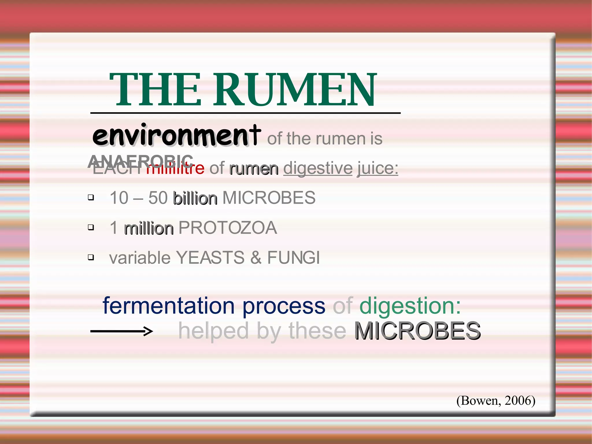 Ruminant Animals | PPT
