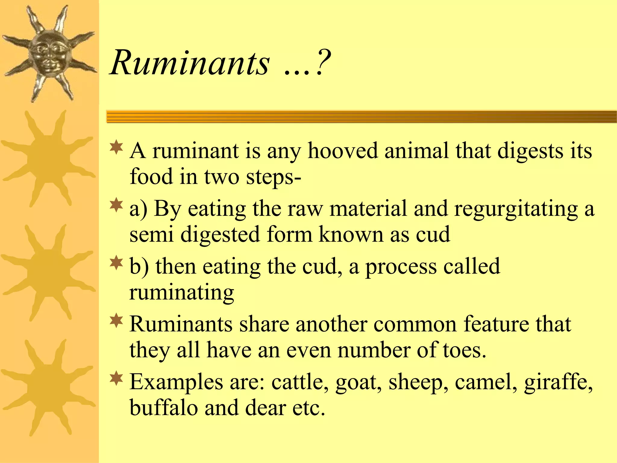 Rumen | PPT