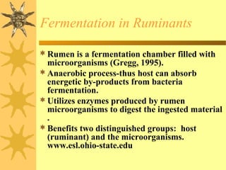 Rumen | PPT
