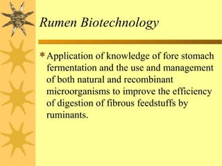 Rumen | PPT