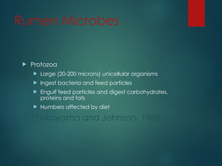 Rumen Biotechnology in Cattle and Buffalo.ppt