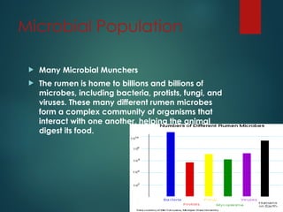 Rumen Biotechnology in Cattle and Buffalo.ppt