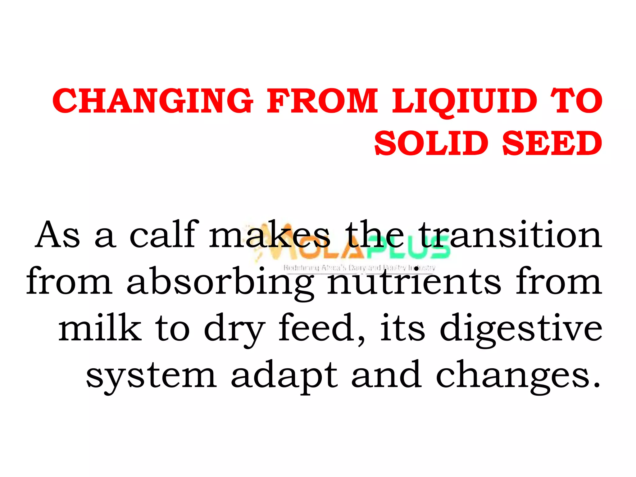 Rumen development and function | PPTX