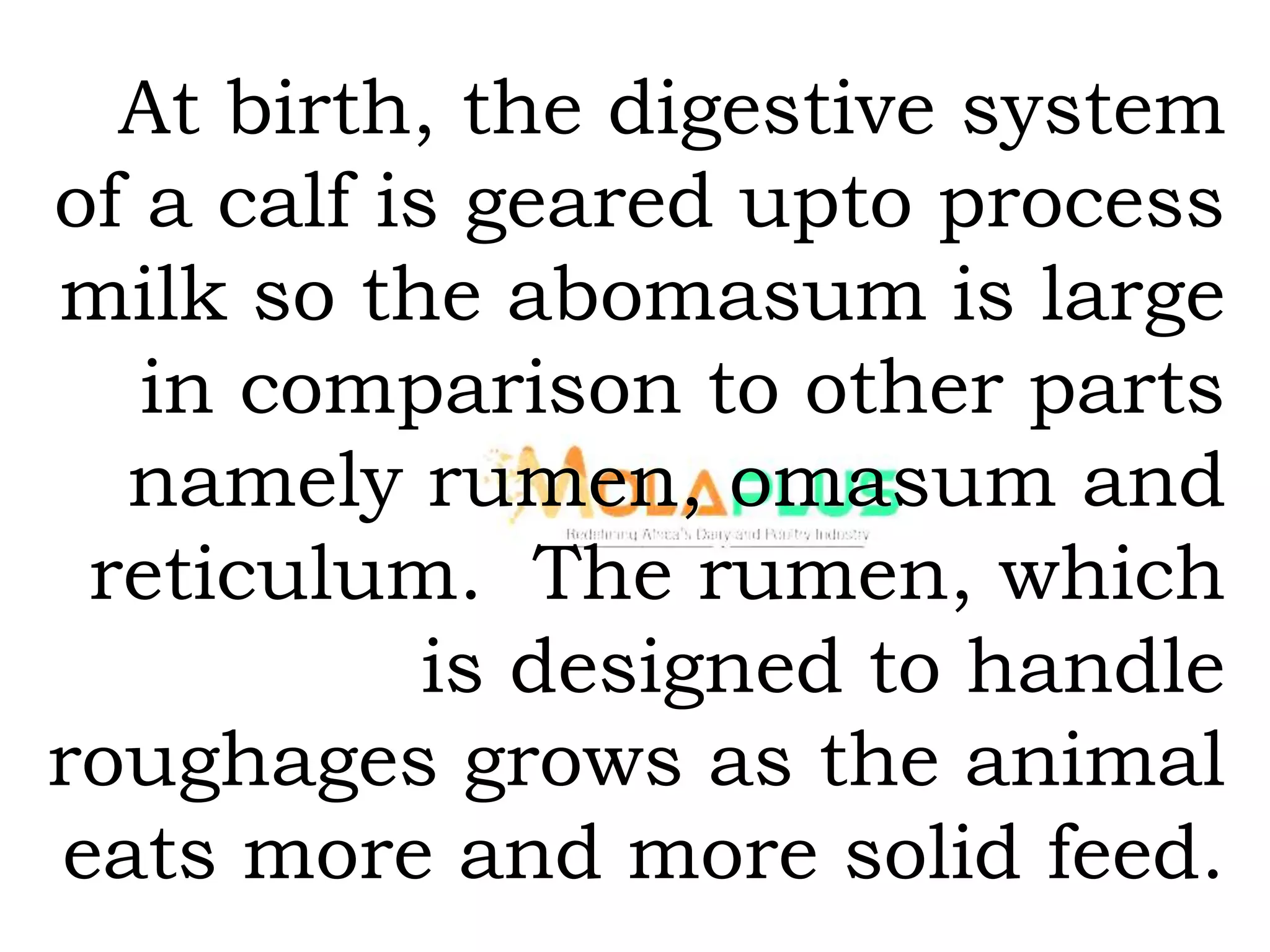 Rumen development and function | PPTX