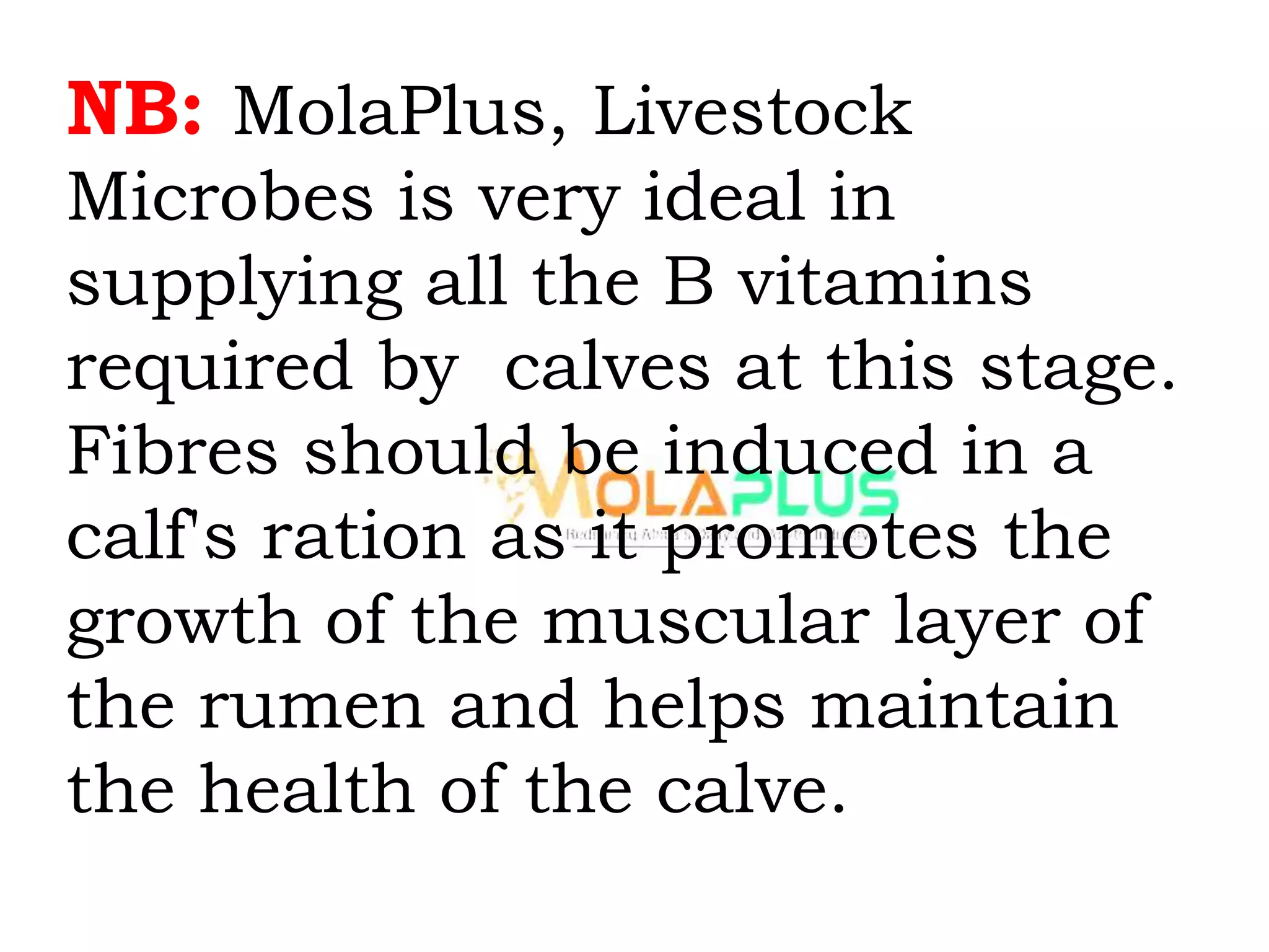 Rumen development and function | PPTX