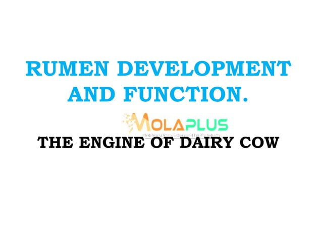 Rumen development and function | PPTX