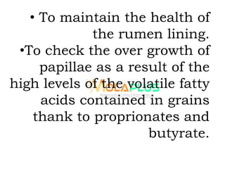 Rumen development and function | PPTX