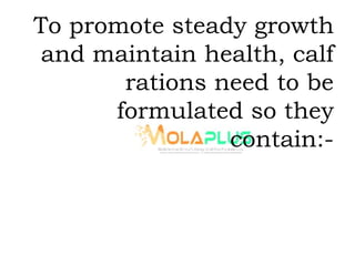 Rumen development and function | PPTX