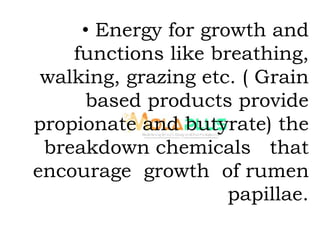 Rumen development and function | PPTX