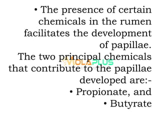 Rumen development and function | PPTX