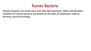 Rumen Ecology and its complications.pptx