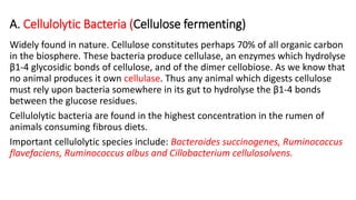 Rumen Ecology and its complications.pptx