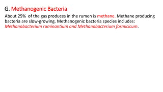 Rumen Ecology and its complications.pptx
