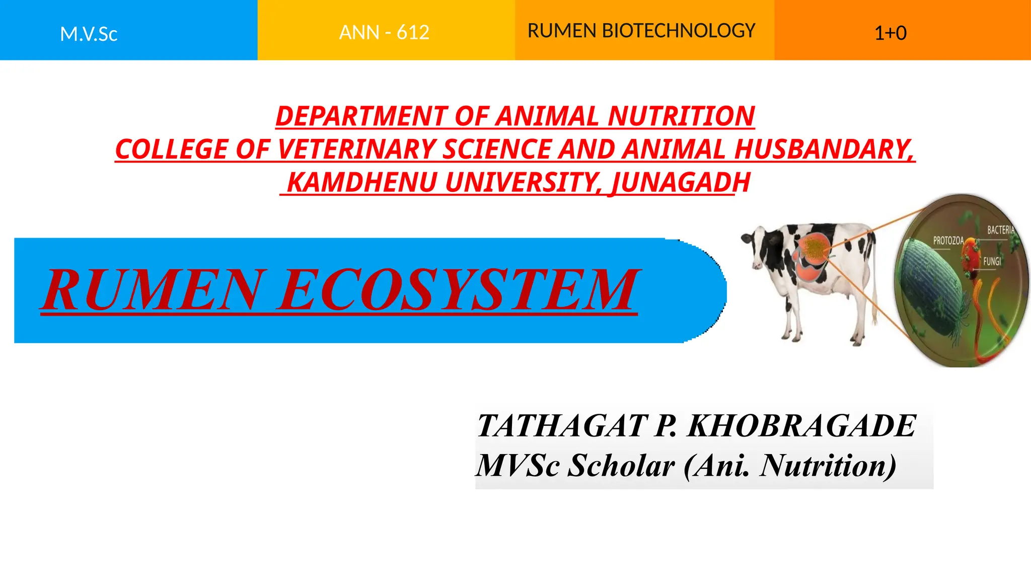 RUMEN ECOSYSTEM AND CLASSIFICATION OF RUMEN MICROBES.pptx