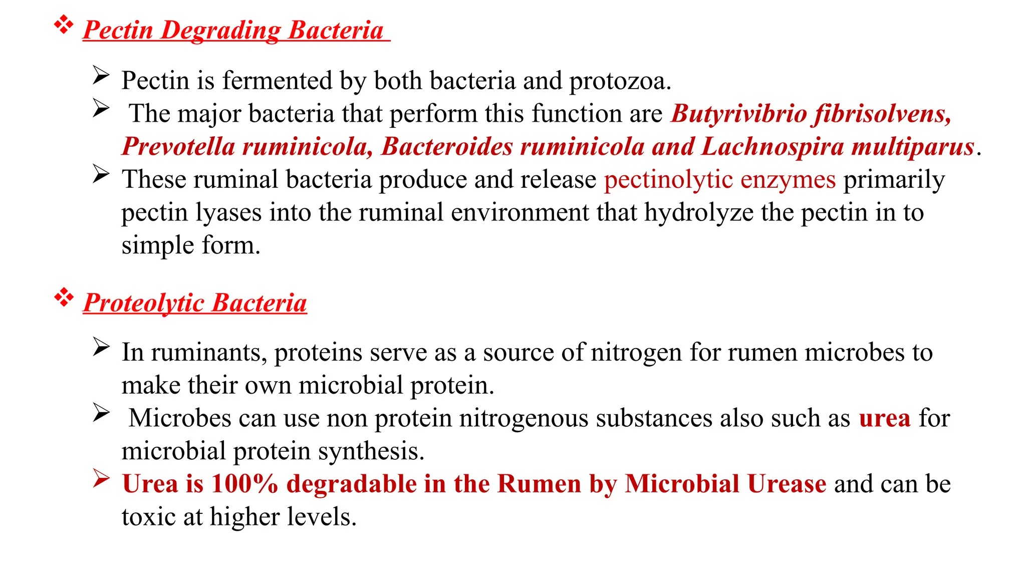 RUMEN ECOSYSTEM AND CLASSIFICATION OF RUMEN MICROBES.pptx