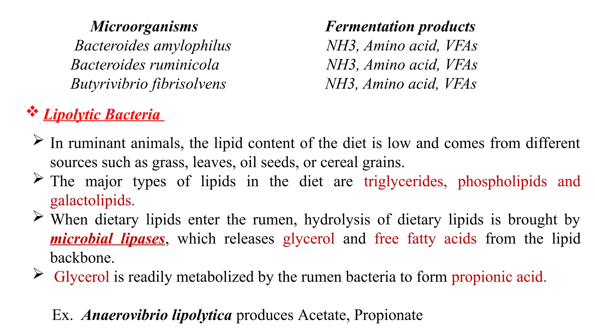 RUMEN ECOSYSTEM AND CLASSIFICATION OF RUMEN MICROBES.pptx