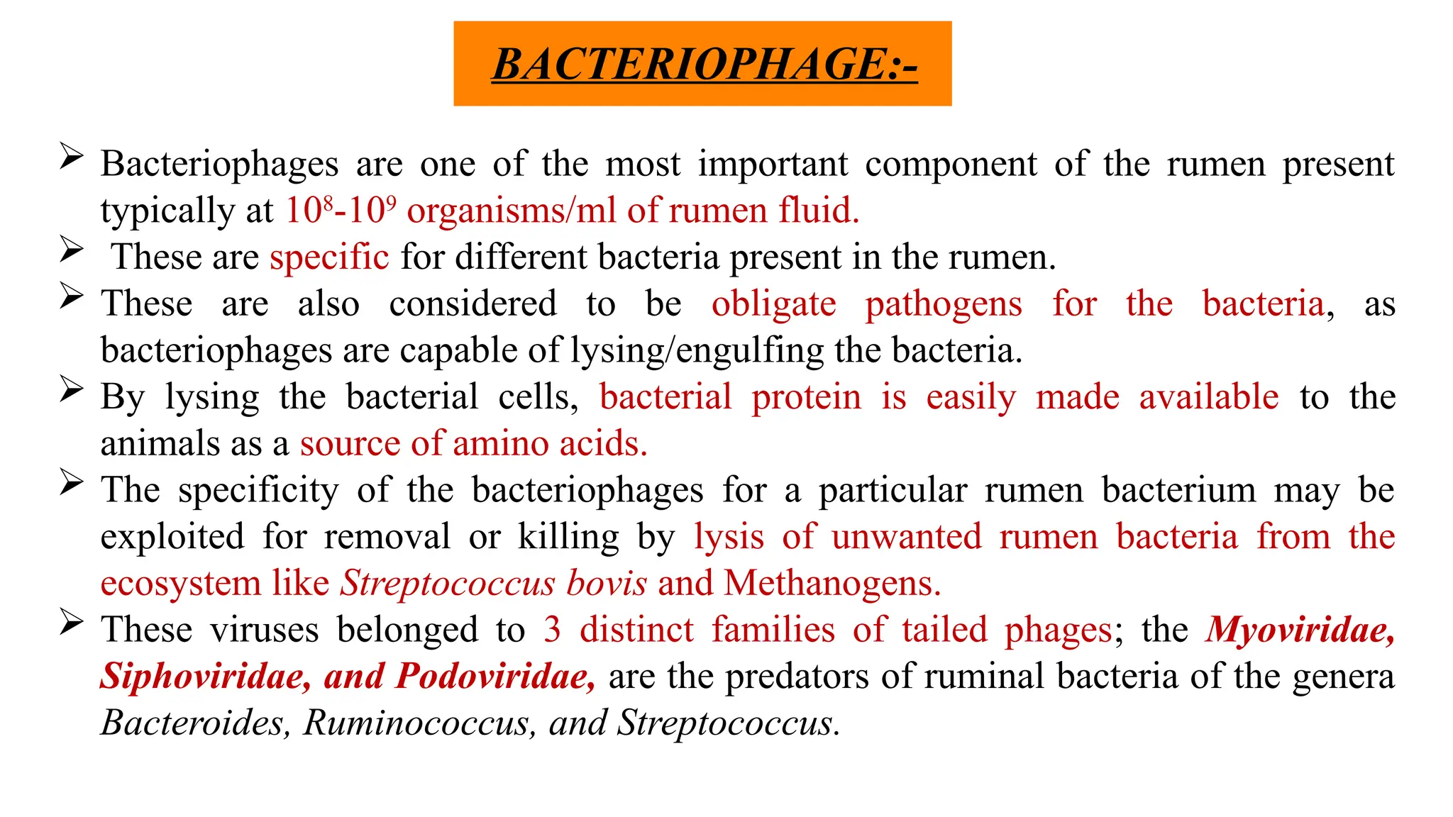 RUMEN ECOSYSTEM AND CLASSIFICATION OF RUMEN MICROBES.pptx