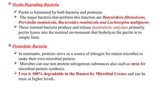 RUMEN ECOSYSTEM AND CLASSIFICATION OF RUMEN MICROBES.pptx