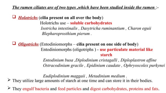 RUMEN ECOSYSTEM AND CLASSIFICATION OF RUMEN MICROBES.pptx | Biological ...