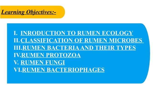 RUMEN ECOSYSTEM AND CLASSIFICATION OF RUMEN MICROBES.pptx | Biological ...