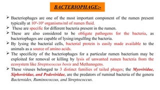 RUMEN ECOSYSTEM AND CLASSIFICATION OF RUMEN MICROBES.pptx