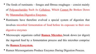 RUMEN ECOSYSTEM AND CLASSIFICATION OF RUMEN MICROBES.pptx