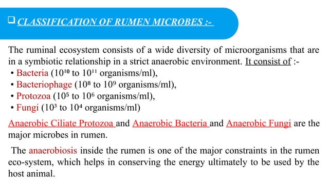 RUMEN ECOSYSTEM AND CLASSIFICATION OF RUMEN MICROBES.pptx | Biological ...