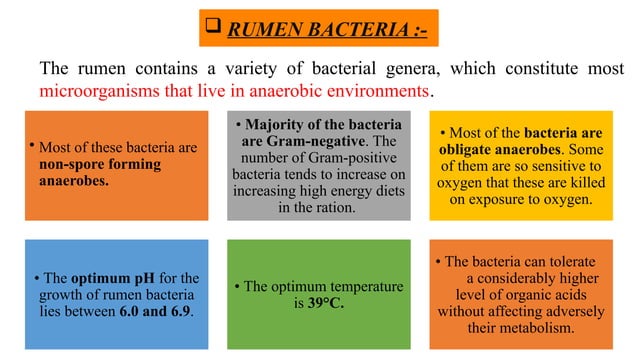 RUMEN ECOSYSTEM AND CLASSIFICATION OF RUMEN MICROBES.pptx | Biological ...