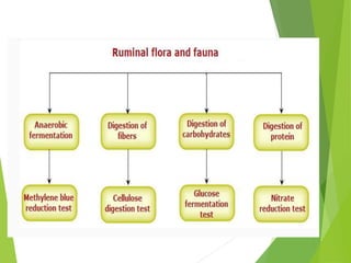 Rumen fluid examination | PPTX