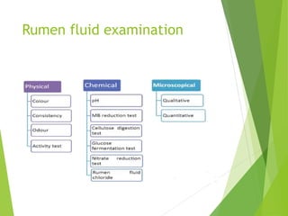 Rumen fluid examination | PPTX