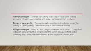 Rumen manipulation | PPTX | Digestive Disorders | Diseases and Conditions