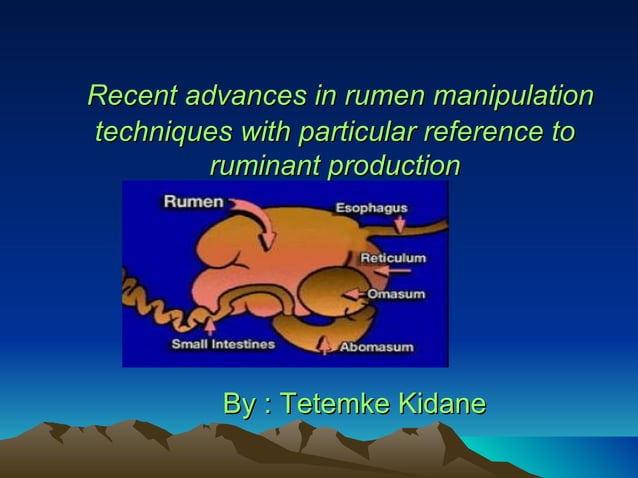 Rumen manupilation | PPT