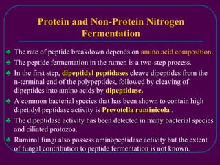 rumenmicrobiology-200601122108.pdf