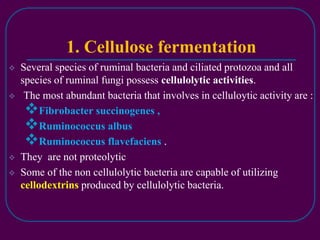 rumenmicrobiology-200601122108.pdf