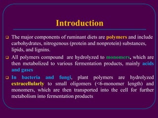 Rumen microbiology | PPT