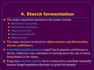 Rumen microbiology | PPT