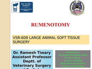 RUMENOTOMY procedure in hardware disease.pdf