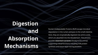 Rumen Undegradable Proteins in ruminants.pptx