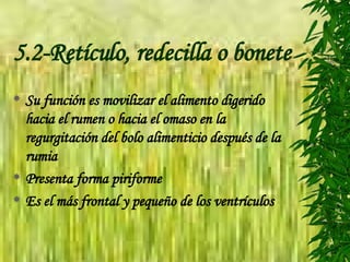 APARATO DIGESTIVO DE LOS RUMIANTES | PPT