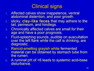 Ruminal drinkers | PPT