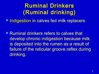 Ruminal drinkers | PPT