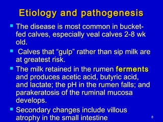 Ruminal drinkers | PPT